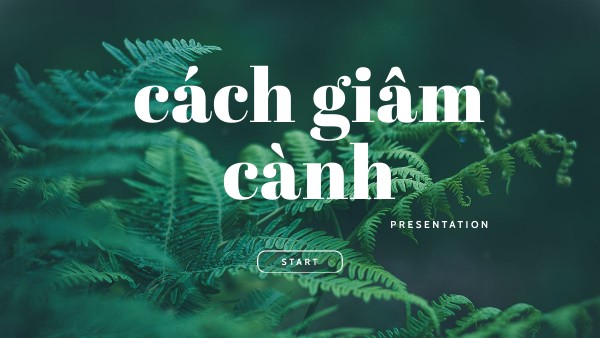 NATURE PRESENTATION | Genially