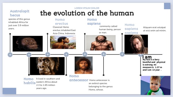 THE EVOLUTION OF THE HUMAN