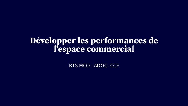Copie - Copie - Développer les performances sur l'espace commercial | Genially