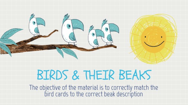 Birds & Beaks Matching | Genially