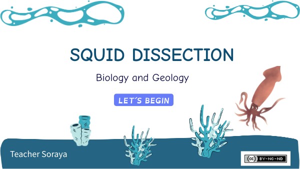 Squid dissection presentation