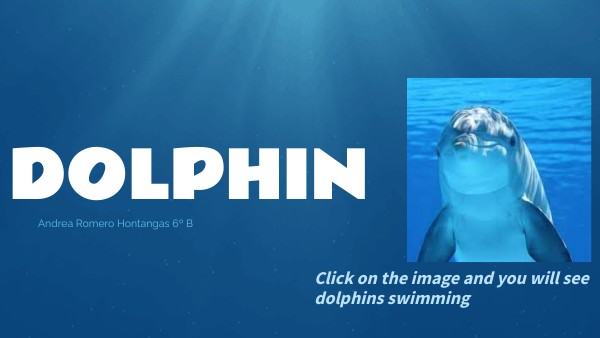 DOLPHIN GENIALLY