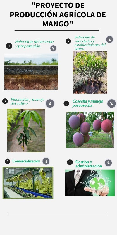 Mango Tommy proyecto | Genially