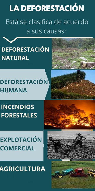 infografía de ecología y problemática ambiental | Genially