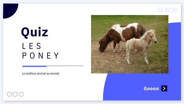 Quizz Poney | Genially
