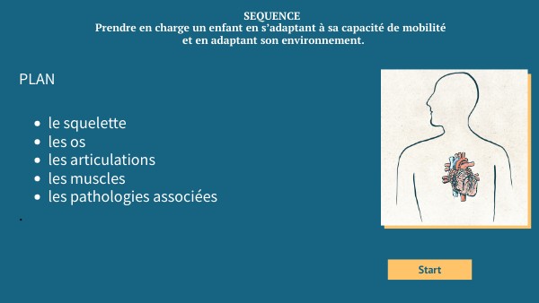 ANATOMY OF THE HUMAN BODY