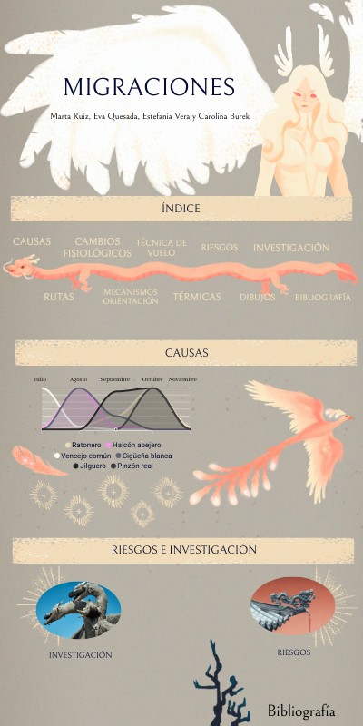 MIGRACIONES | Genially