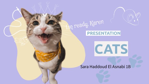 english task xd | Genially