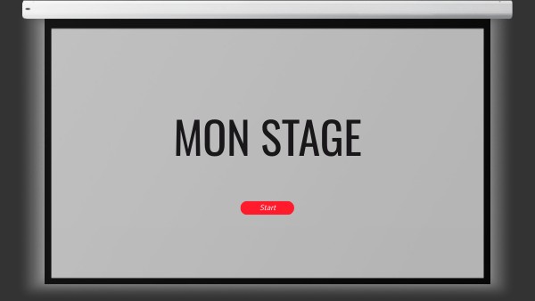 Oral de stage | Genially