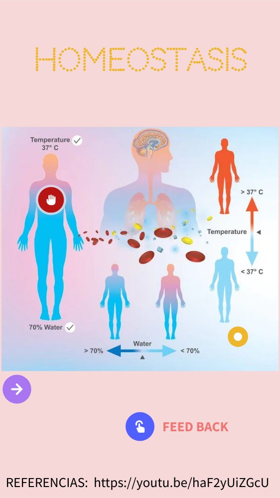 Homeostasis | Genially