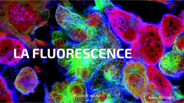 LA FLUORESCENCE | Genially