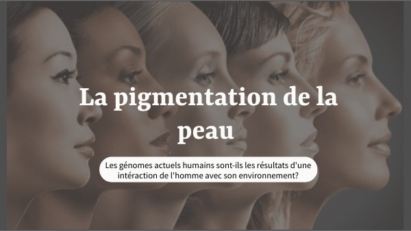 Pigmentation de la peau