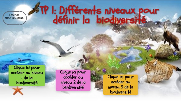 Les différents niveaux de la biodiversité | Genially