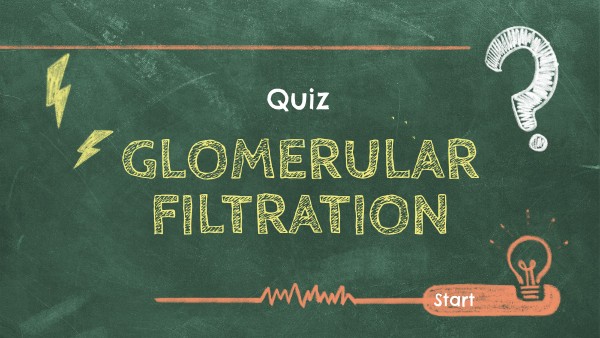 QUIZ Glomerular filtration