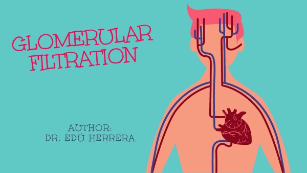 Glomerlular Filtration