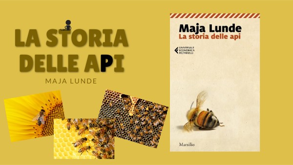 La storia delle api