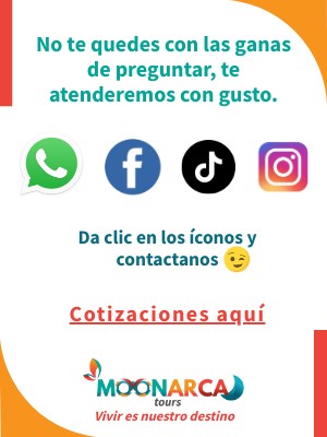 Contacto Moonarca | Genially