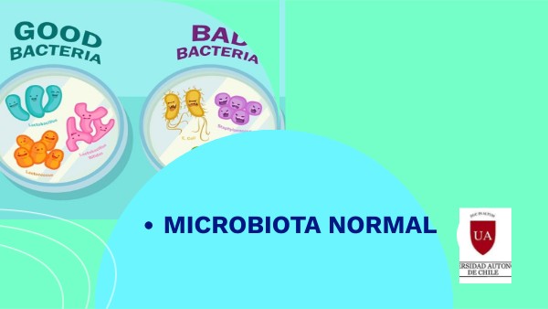 Microbiota normal | Genially