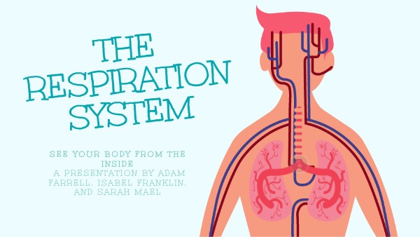 HUMAN BODY PRESENTATION