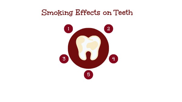 Smoking Effects on the Teeth1 | Genially