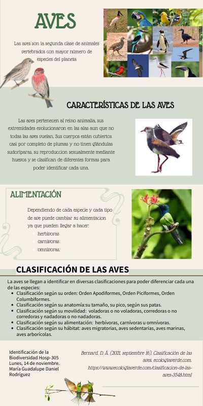 aves | Genially