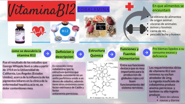Infografia Vitamina B12 | Genially