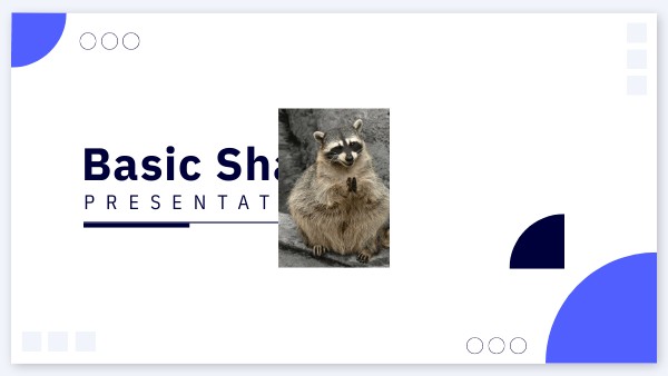 BASIC SHAPES PRESENTATION