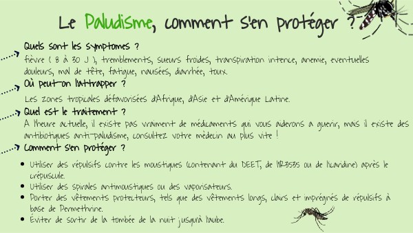 Affiche paludisme en SVT | Genially
