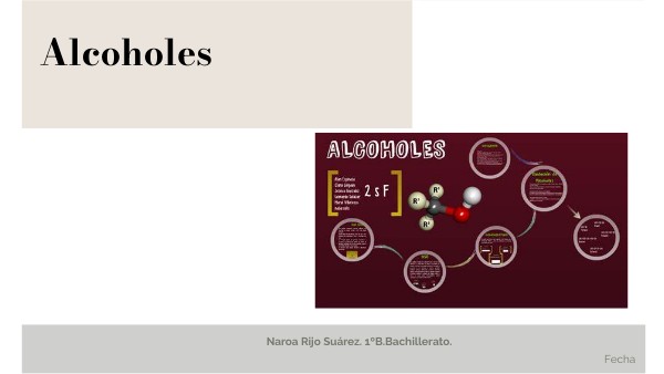 Trabajo Alcoholes