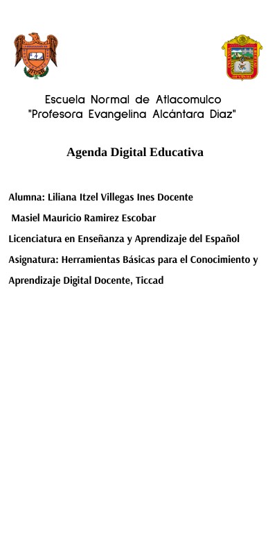 Infografia Individual M4