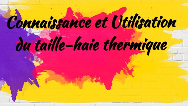 Copie - Le taille-haie thermique