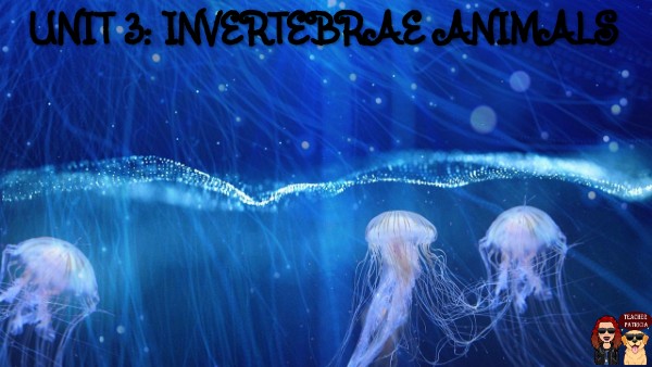 SCIENCE, UNIT 3 | Genially