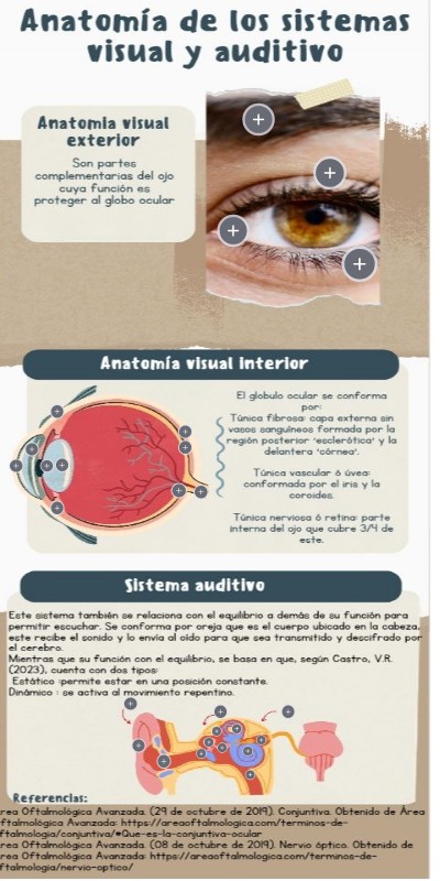 Reto 3.- Anatomía de los sistemas visual y auditivo | Genially