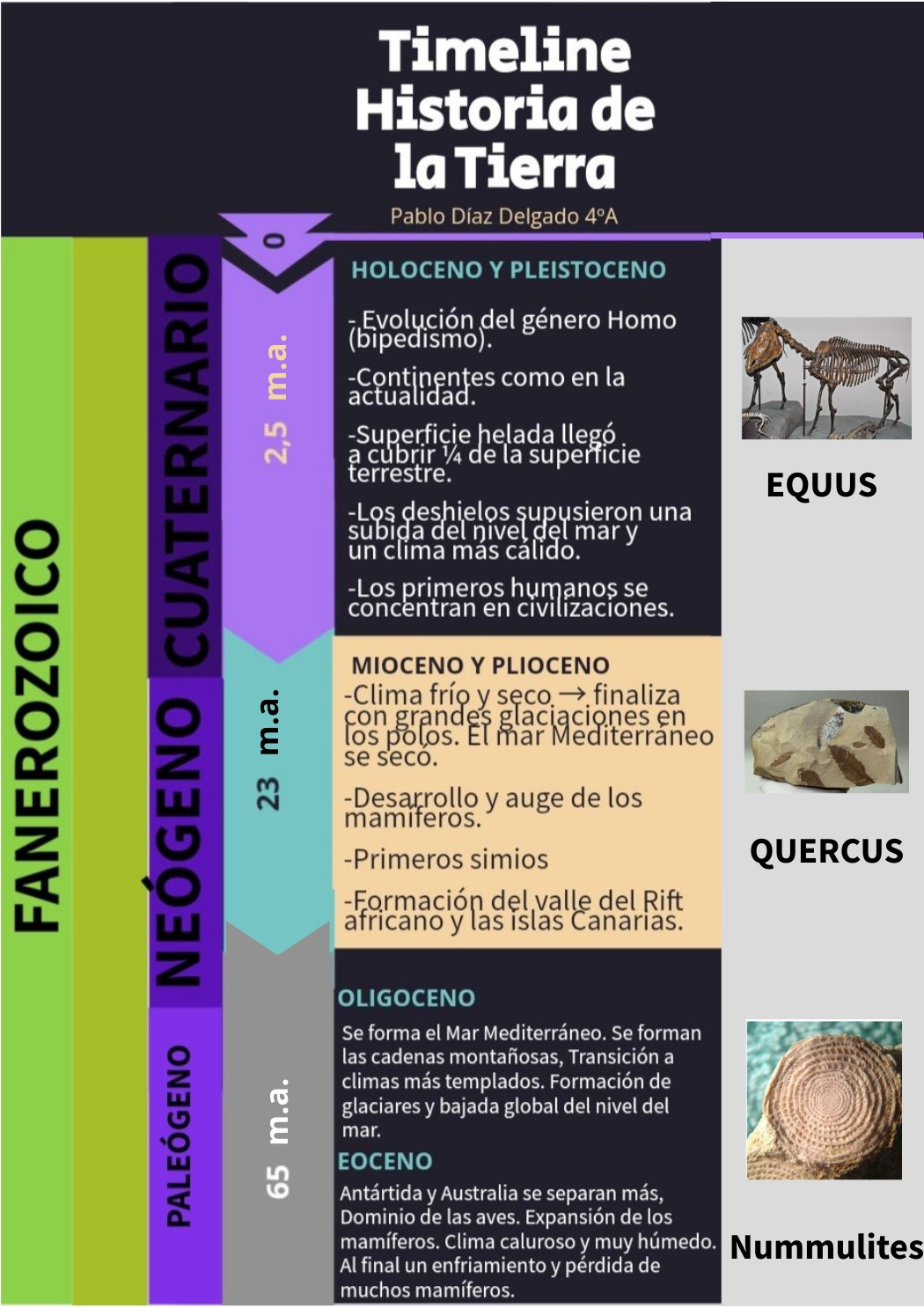 TIMELINE FLECHAS | Genially