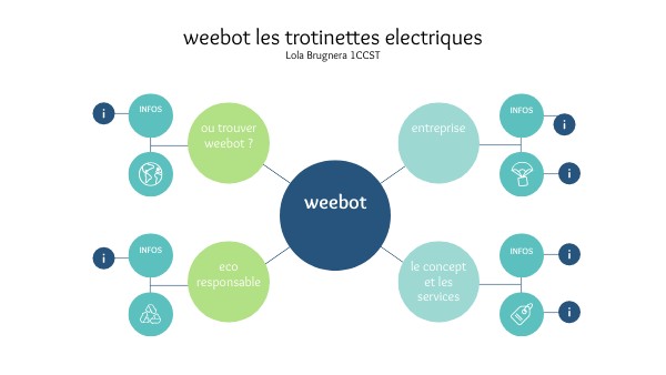 weebot les trotinettes electriques