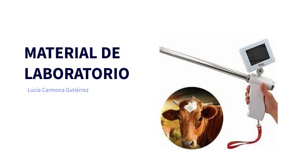 Material laboratorio | Genially