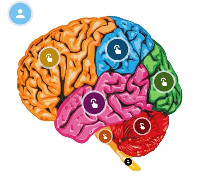 Imagen interactiva del cerebro | Genially