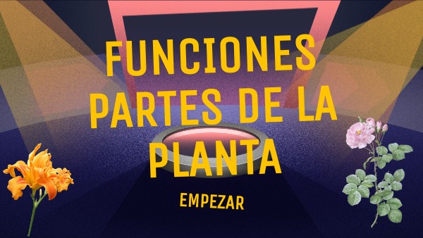 ESTACIÓN 2 | Genially