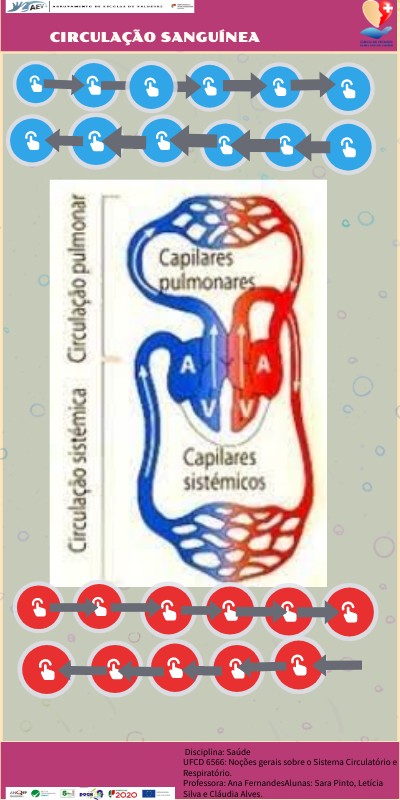 CELL VERTICAL INFO | Genially
