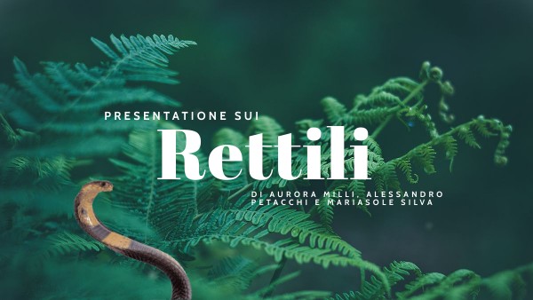 Presentazione sui rettili | Genially