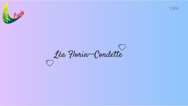 Copie - BASIC DOSSIER