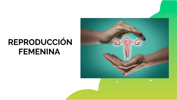 Reproducción Femenina