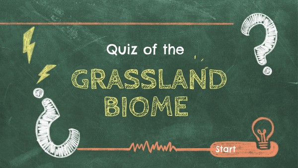 Quiz Biomes Biology | Genially