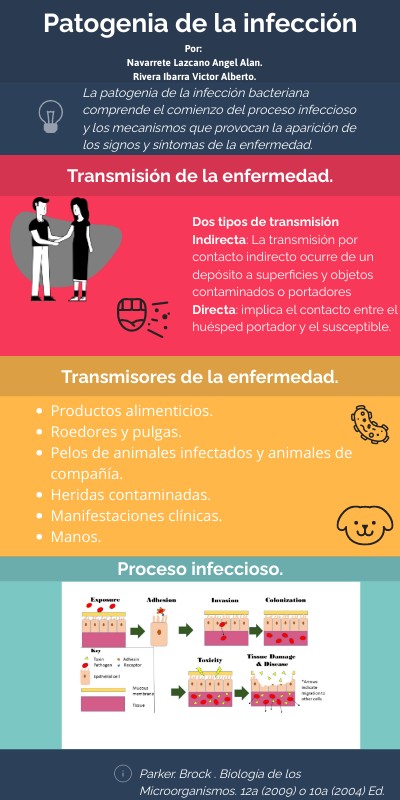 Patogenia de la infeccion