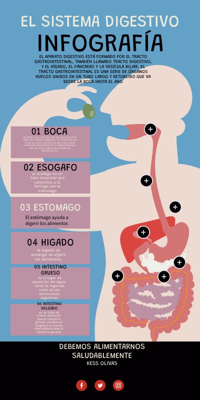 INFO VERTICAL DIGESTIVO | Genially