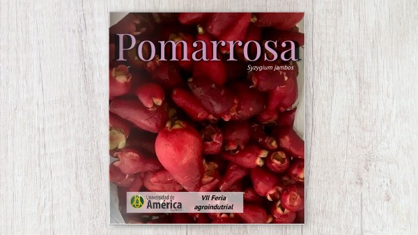 Pomarrosa