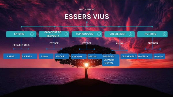 MAPA MENTAL ESSERS VIUS | Genially