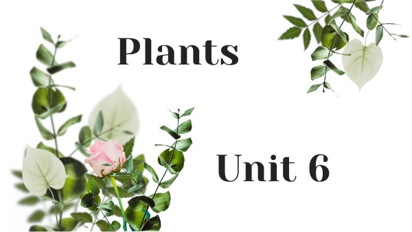 Unit 6 Plants | Genially