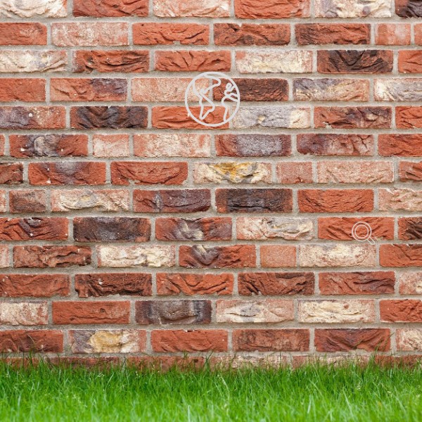 SEARCHER CARD | Genially