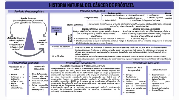 Historia natural del cáncer de próstata | Genially
